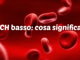 Analisi del sangue Complete: Come Leggere ed Interpretare gli Esami!