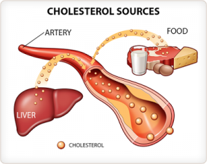 Colesterolo HDL Alto e Basso: Leggi la Guida Completa sui Valori Normali!