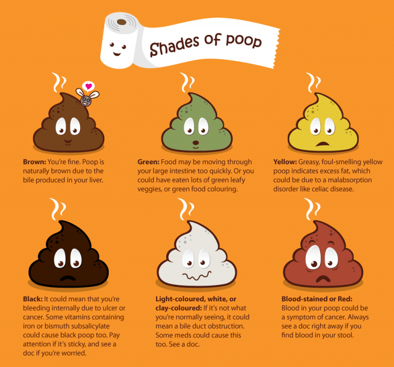 Feci Scure: Scopri Tutte le Possibili Cause, i Sintomi e i Rimedi!