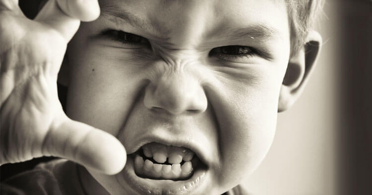 Aggressività: Leggi Tutti i Sintomi e le Cause Scatenanti!